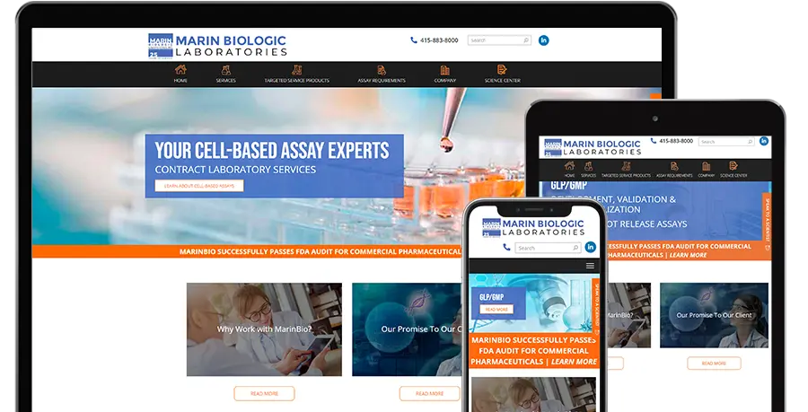 Healthcare Web Design Company - B3NET Inc.